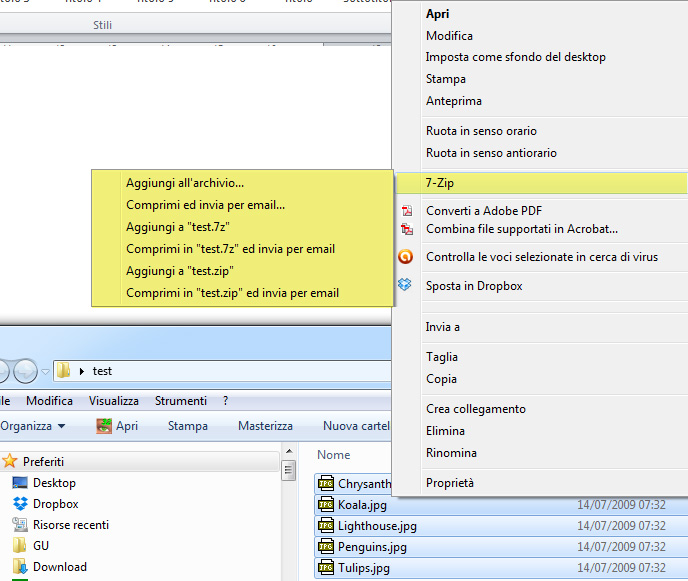 Michele Angeletti - Come aprire ed estrarre files compressi